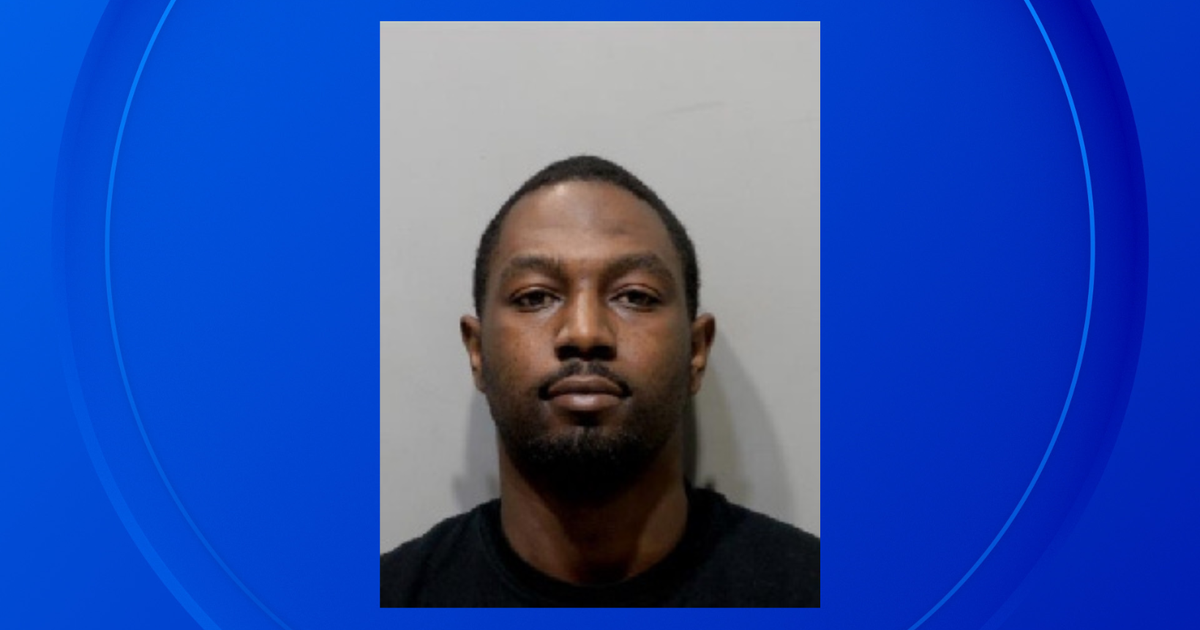 Detroit man arraigned after beating puppy for breaking his sunglasses - CBS Detroit