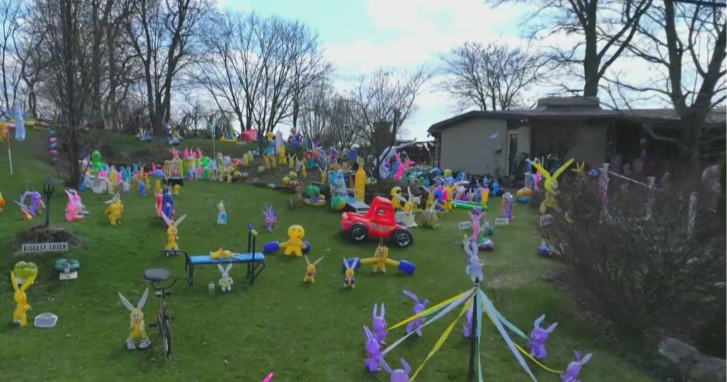 West Mifflin couple fills lawn with inflatable bunnies - CBS Pittsburgh