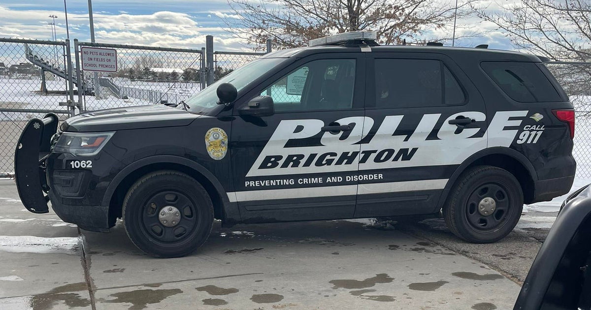 Brighton police officer injured while arresting alleged domestic ...
