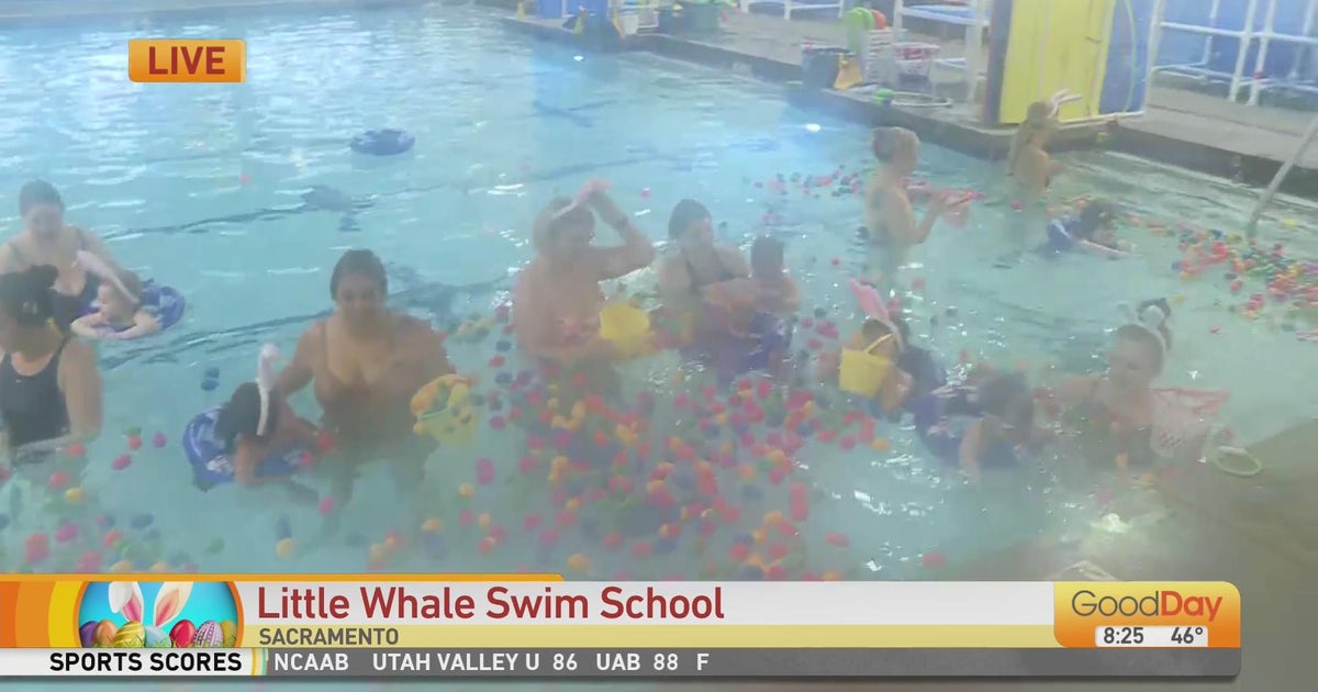 Floating Easter egg hunt at Little Whale Swim School! - Good Day Sacramento
