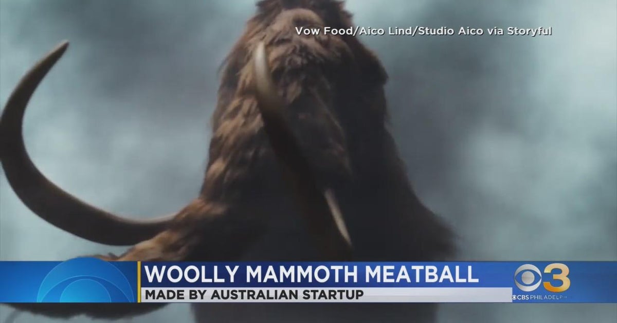 Company grows woolly mammoth meat in a lab from DNA - CBS Philadelphia