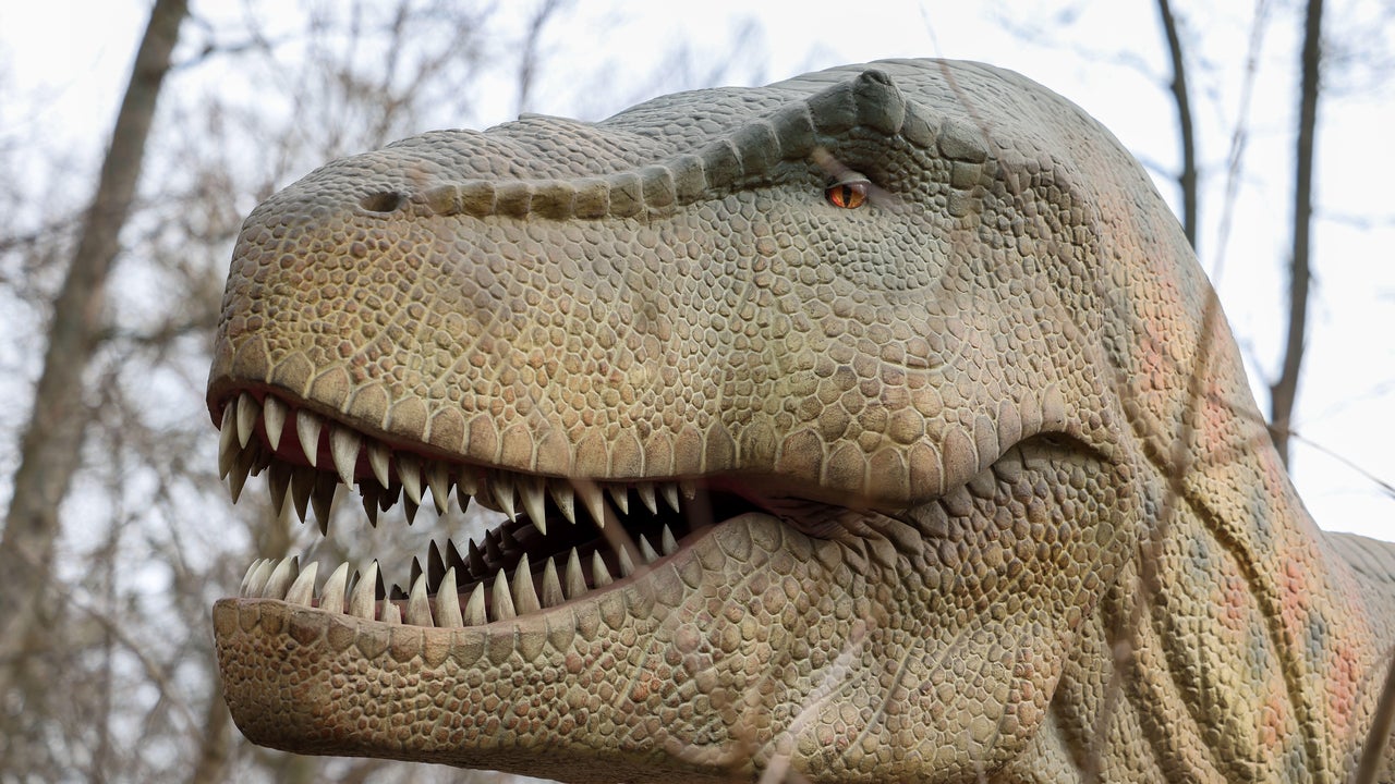 Stories About Tyrannosaurus rex - CBS Pittsburgh