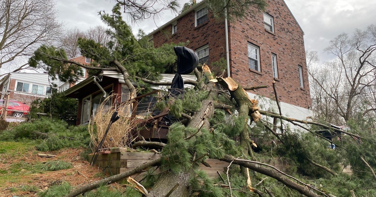 Tree falls onto home in Penn Hills - CBS Pittsburgh