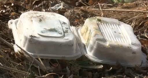 Many in the Denver Metro have new composting guidelines - CBS Colorado