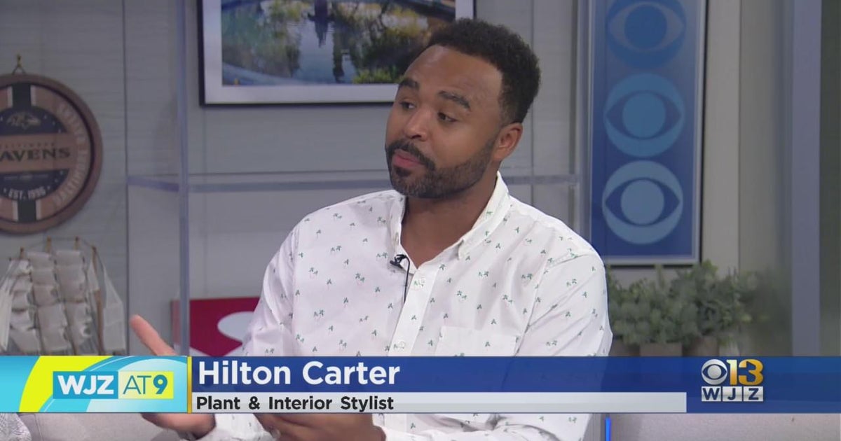 Plant and Interior Stylist Hilton Carter discusses new book "Living ...