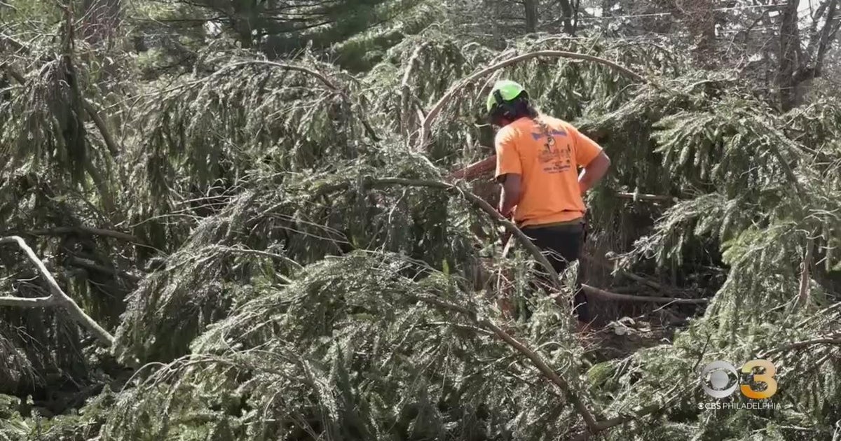 Tornado in Crosswicks changed residents' perspectives on living in New ...