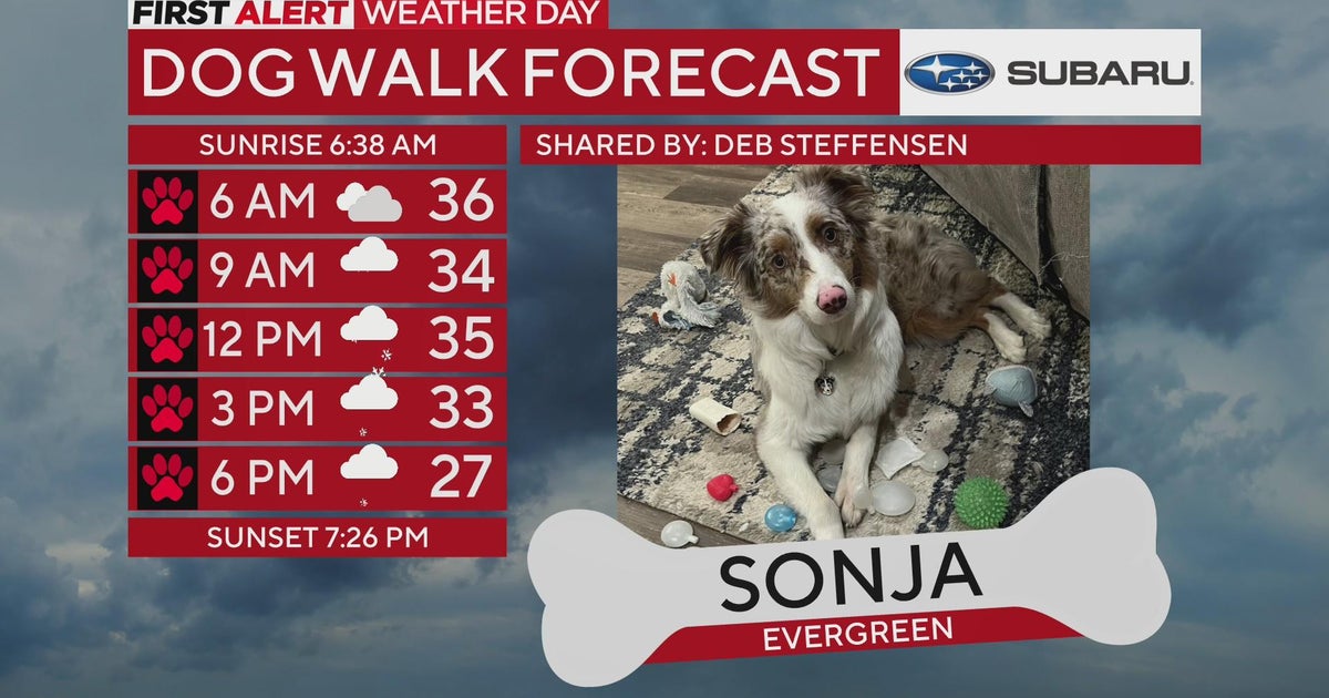 Sonja joins Dog Walk Forecast - CBS Colorado