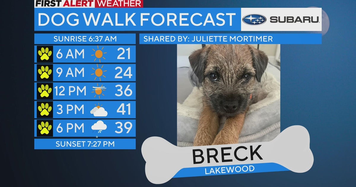 Breck joins Dog Walk Forecast - CBS Colorado