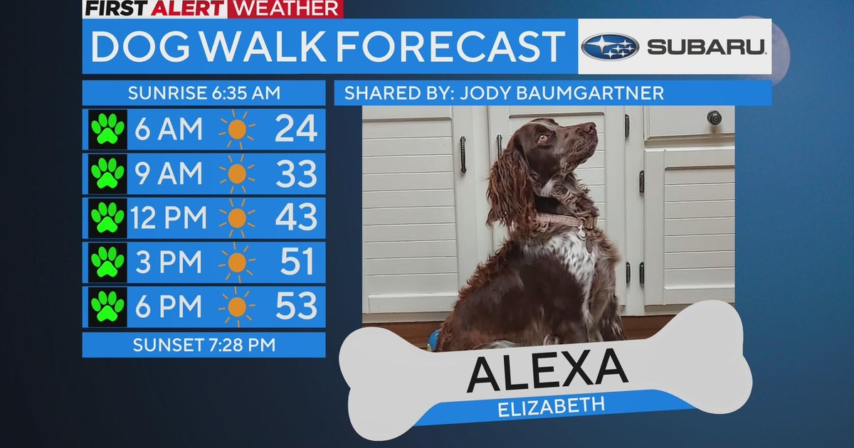 Alexa joins Dog Walk Forecast - CBS Colorado