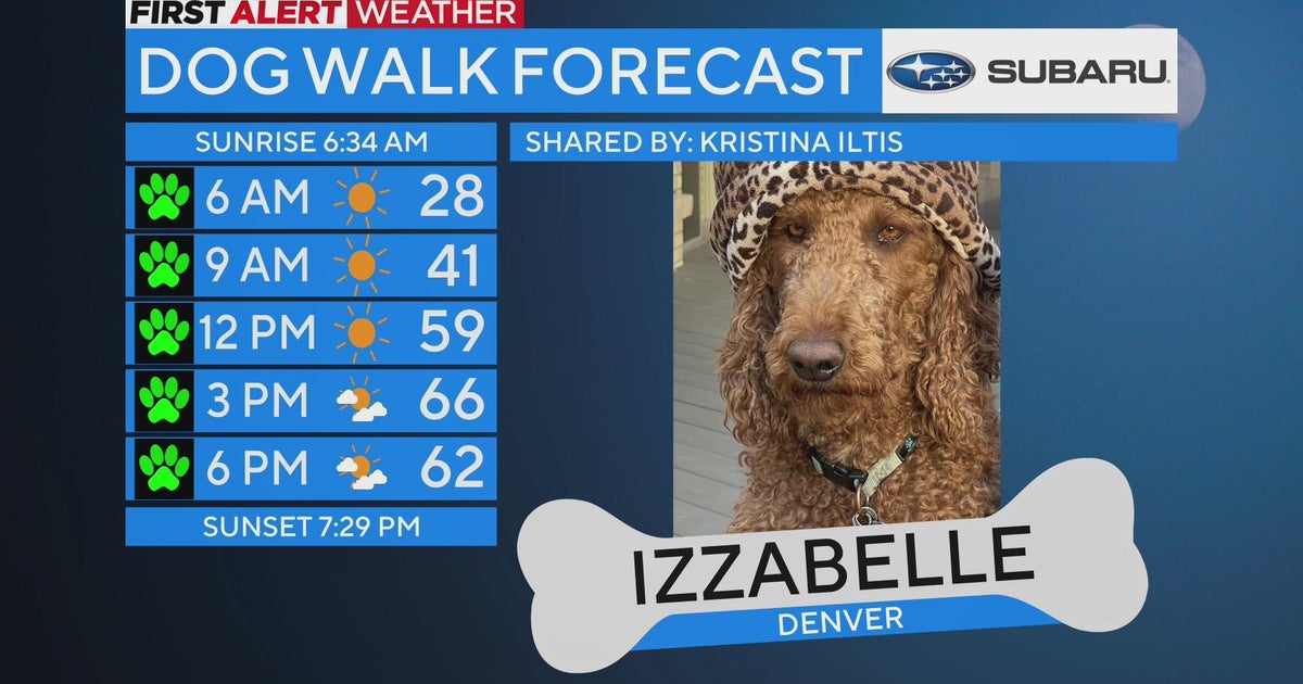 Izzabelle joins Dog Walk Forecast - CBS Colorado