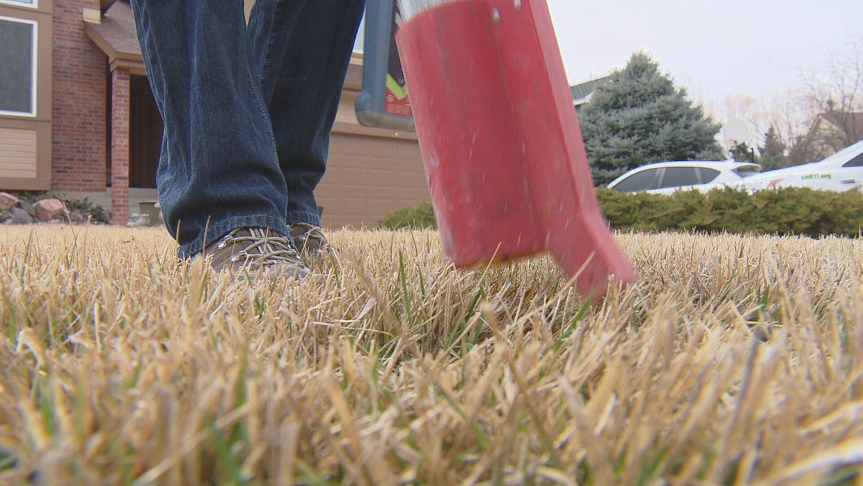 Xcel Energy reminds Coloradans to call 811 before digging - CBS Colorado