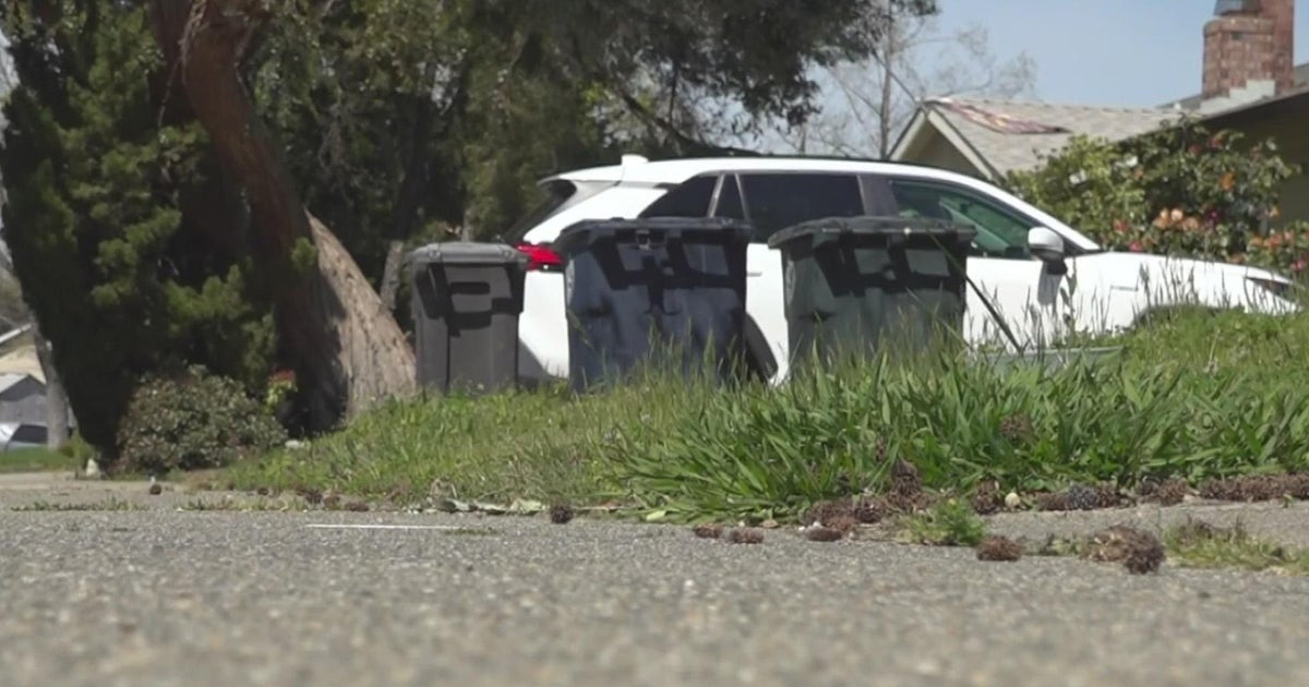 Citrus Heights Residents Face Auditing Fines Over Putting Food In