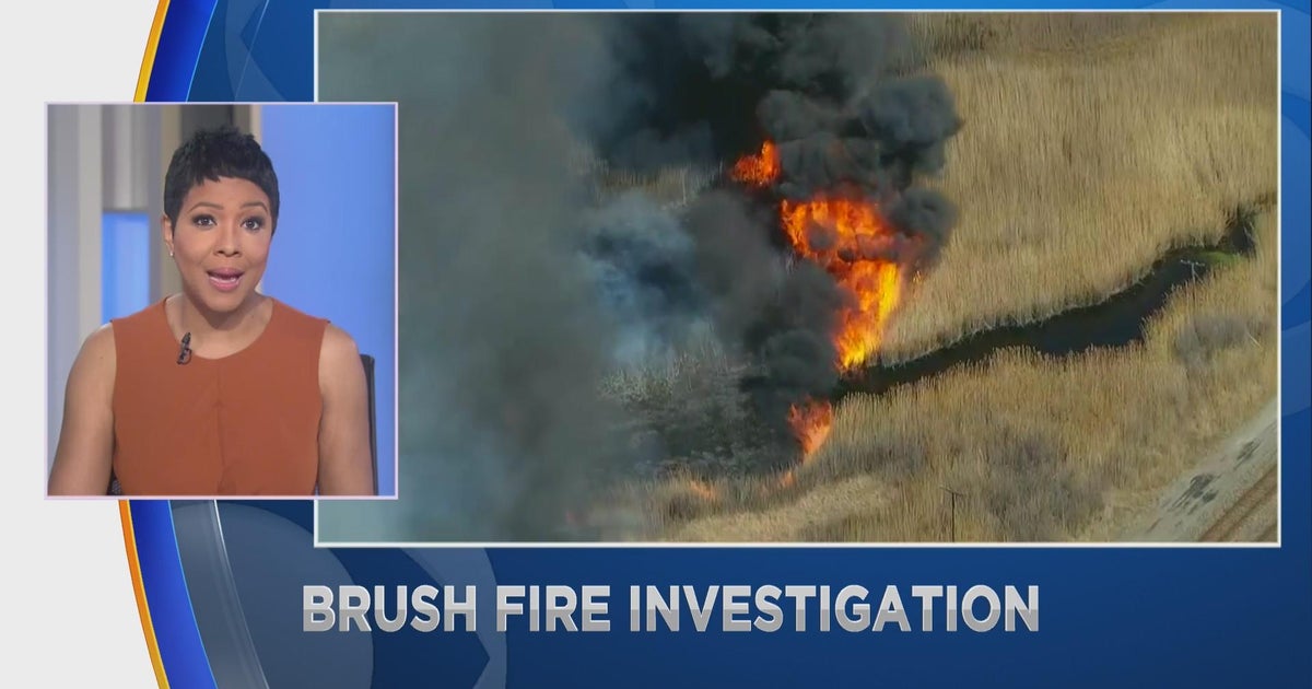 Officials probe massive brush fire in Northwest Indiana - CBS Chicago