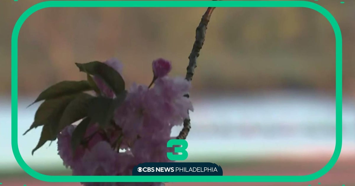 Residents get out and enjoy another summery April day - CBS Philadelphia