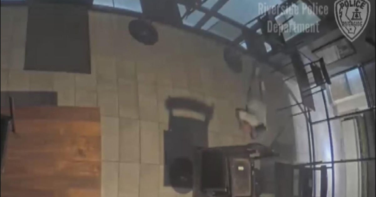 Riverside police arrest 'snake burglar' who is accused of dozens break ...