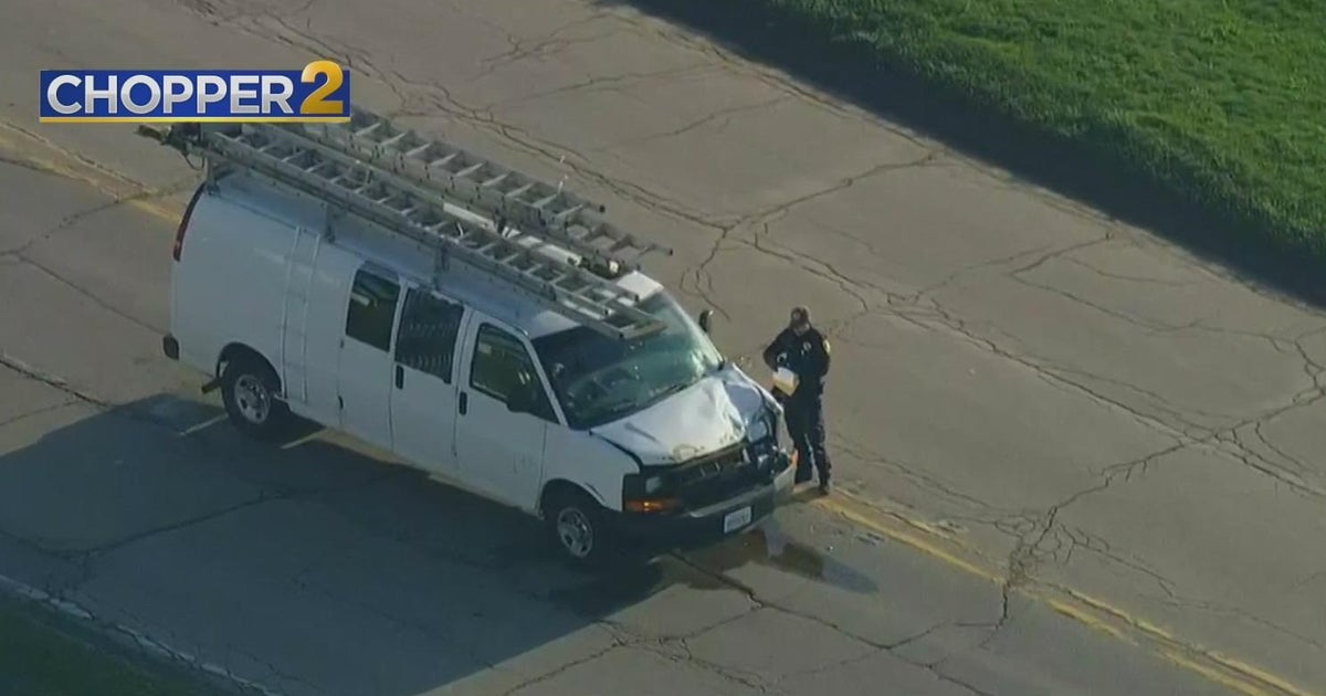 Van strikes, kills man in Elgin Township as he was trying to get goose ...