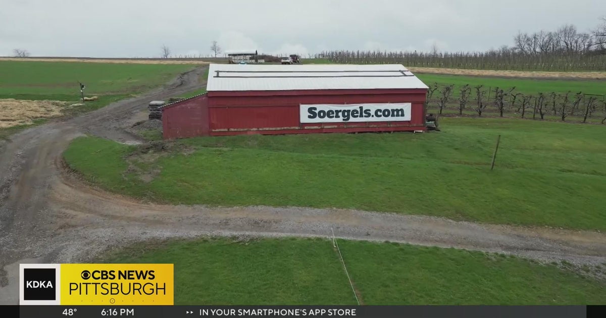 Earth 365: Impact warm winter has on crops and farming - CBS Pittsburgh