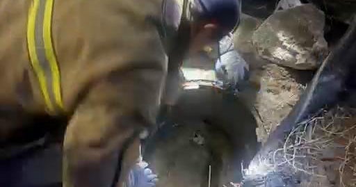4 pups stuck in storm drain - CBS Colorado