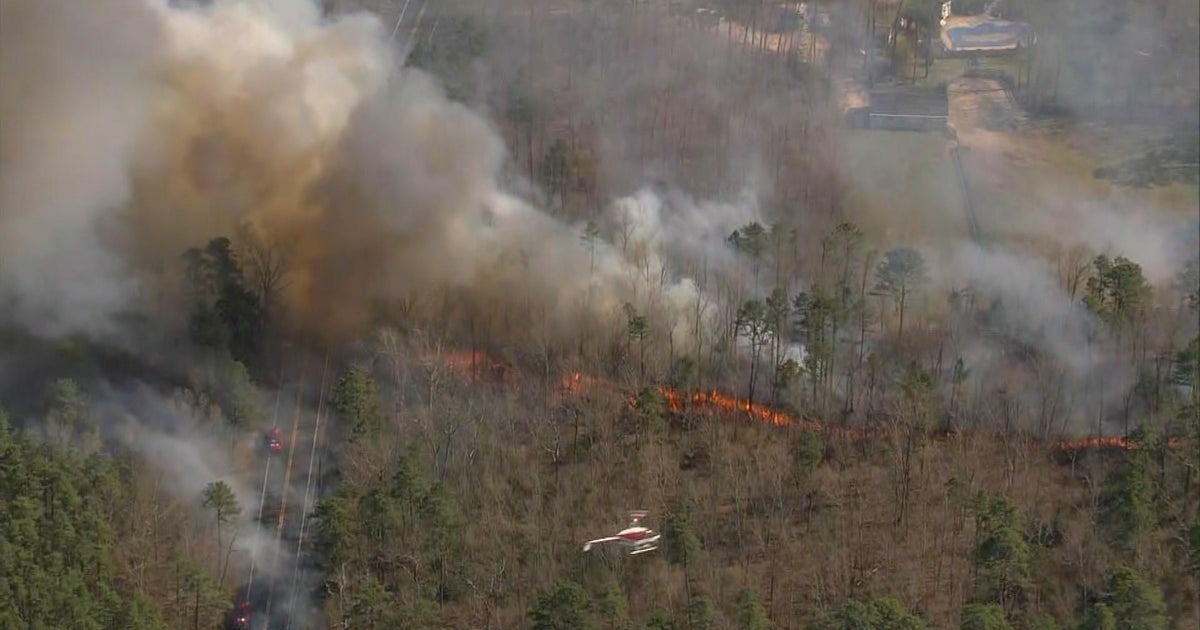 Wildfire in Burlington County now 95% contained: fire officials - CBS ...