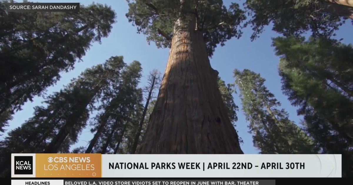 National Parks Week; ways to experience and enjoy the parks - CBS Los ...