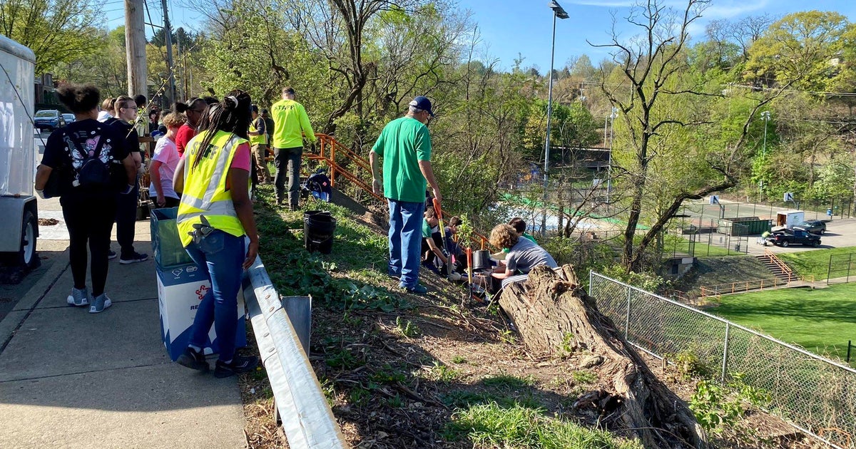 Pittsburgh students plant trees in Greenfield for Earth Day - CBS ...