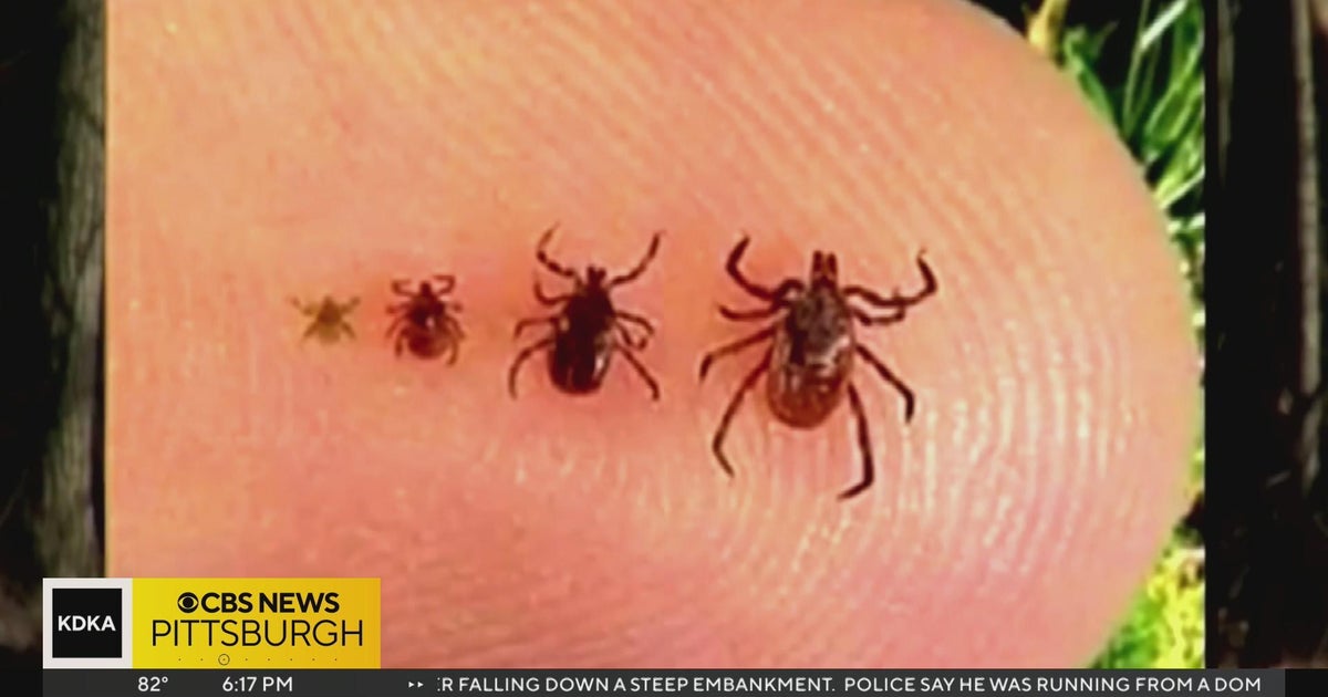 Earth 365: A warm winter's impact on Pennsylvania's tick population ...