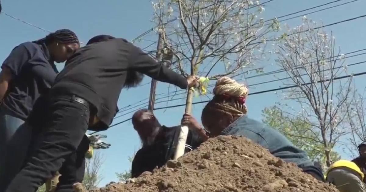 2023 Earth Day: Group helps plant new trees in Camden in effort to ...