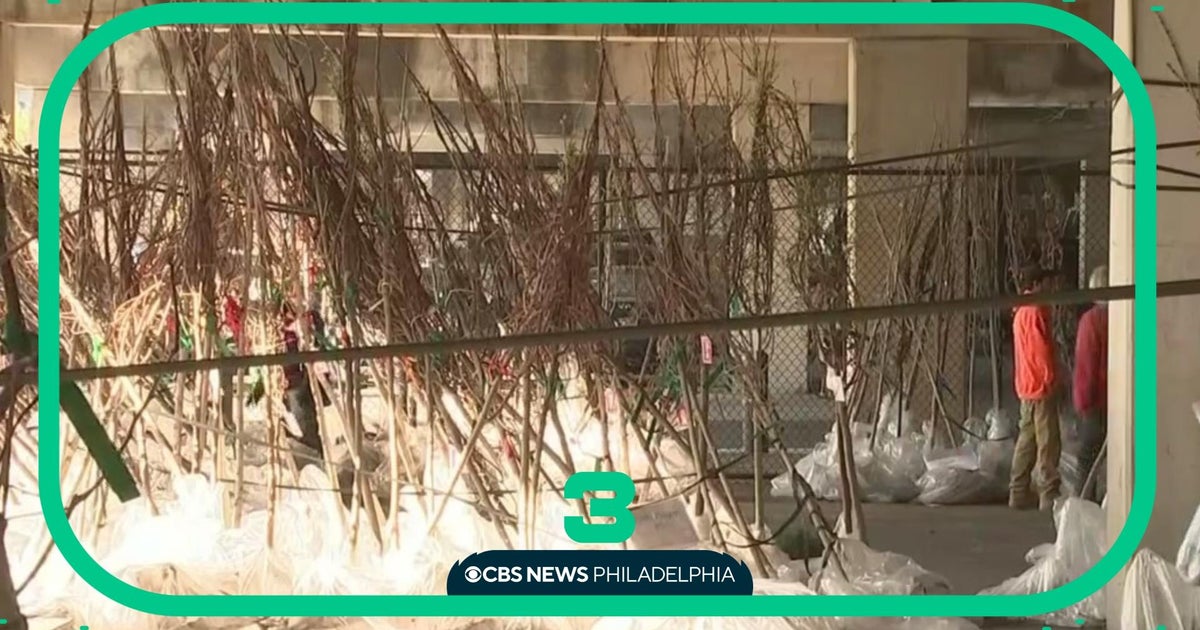 Earth Day celebration: 1,400 trees distributed in Philadelphia - CBS ...