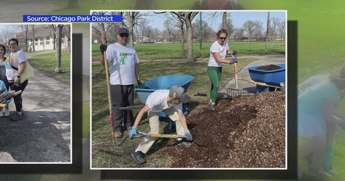 Earth Day Chicago Parks clean-up - CBS Chicago