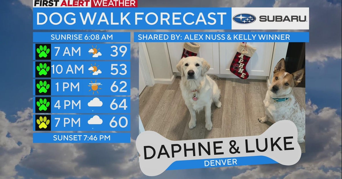 Daphne & Luke join Dog Walk Forecast - CBS Colorado