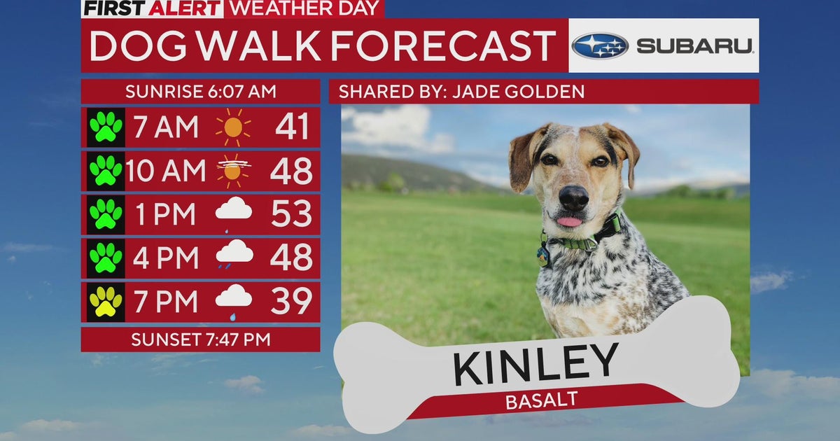 Kinley joins Dog Walk Forecast - CBS Colorado