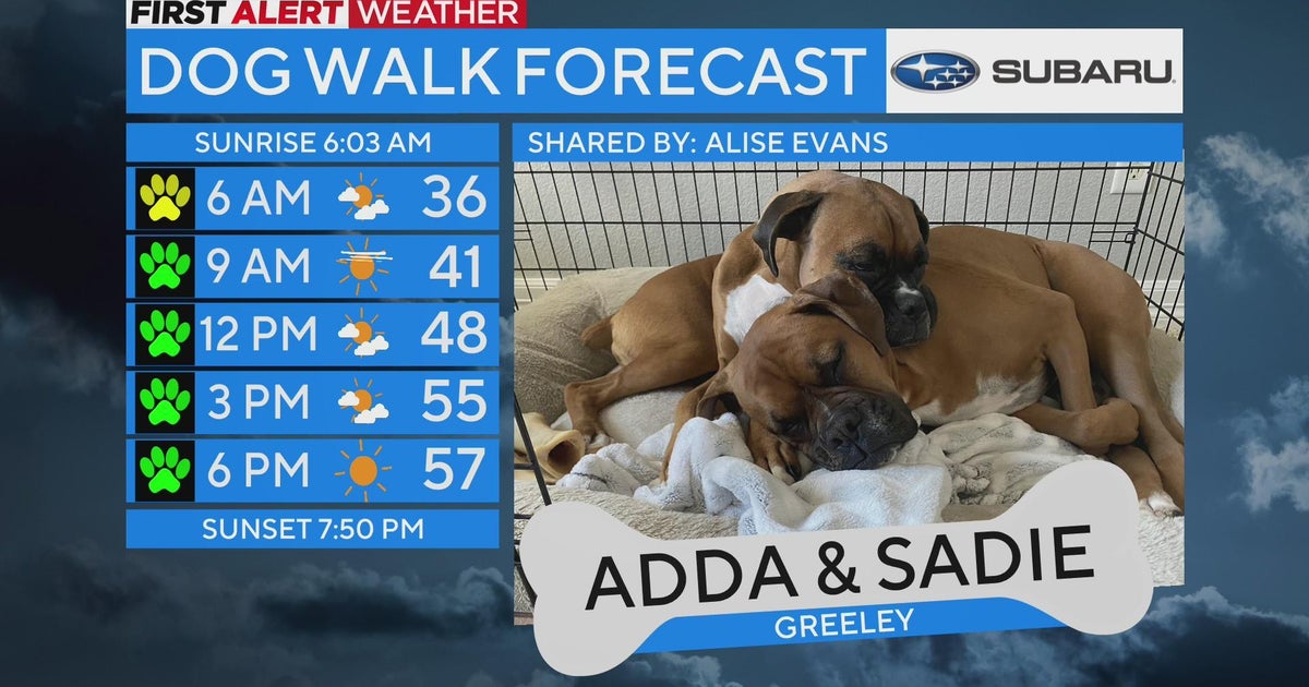 Adda & Sadie join Dog Walk Forecast 04/28/23 - CBS Colorado