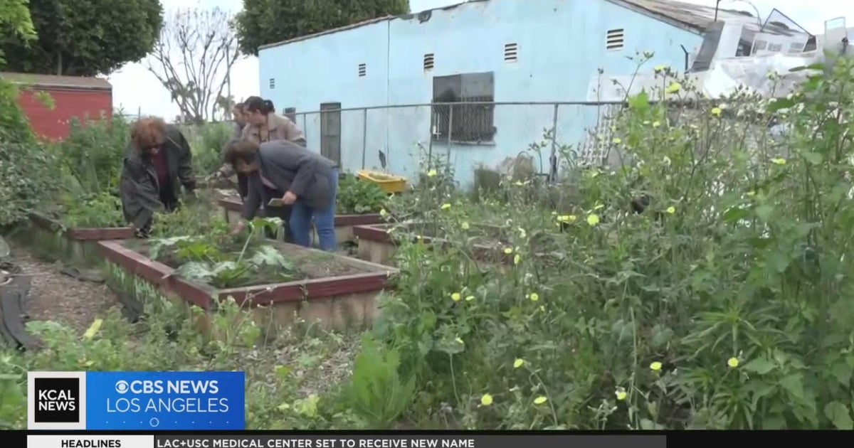 Residents gather in hopes of preventing sale of Compton Community ...