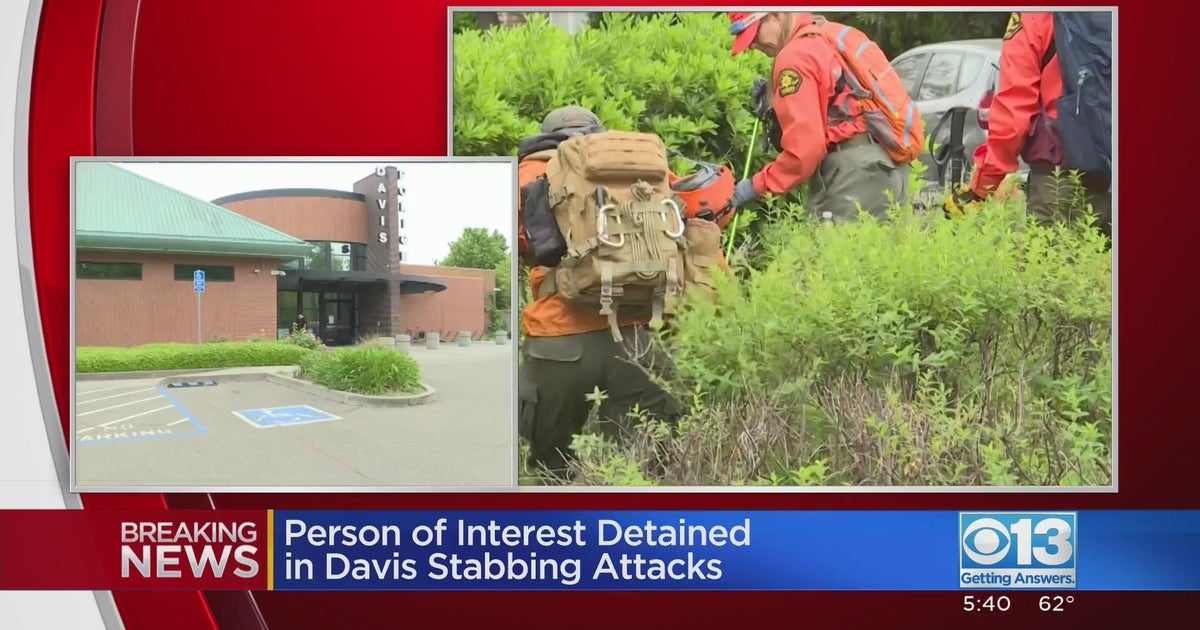 Police: Person of interest detained in Davis stabbings matched ...