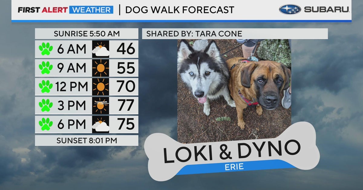 Loki & Dyno join Dog Walk Forecast - CBS Colorado