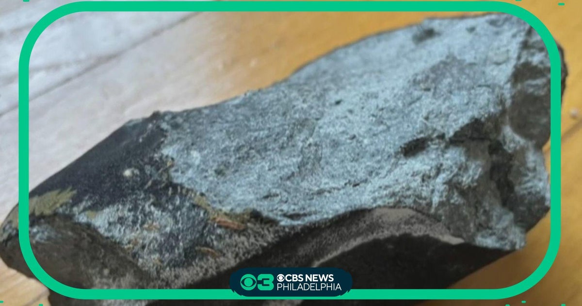 Woman thankful nobody was home after possible meteorite struck home in ...