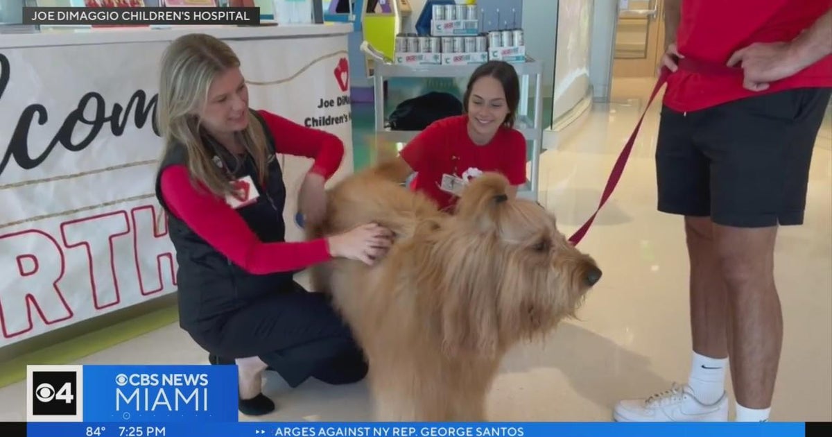 Brodie brings smiles to young patients - CBS Miami