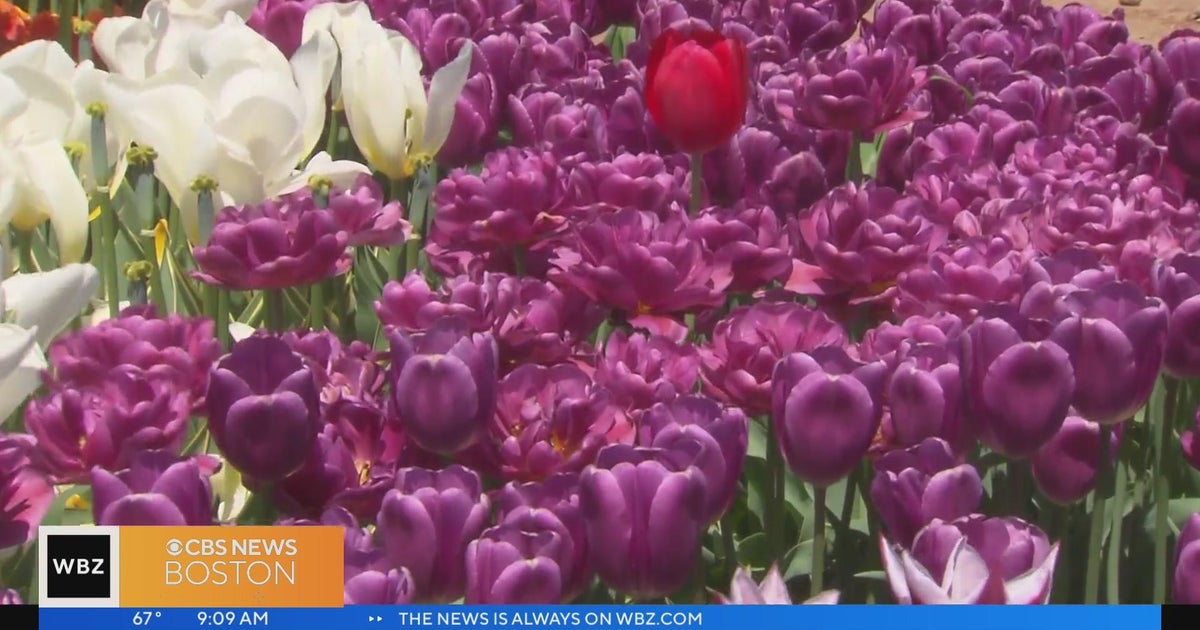 Karson and Kennedy from Mix 104.1 with suggestions for things to do on ...