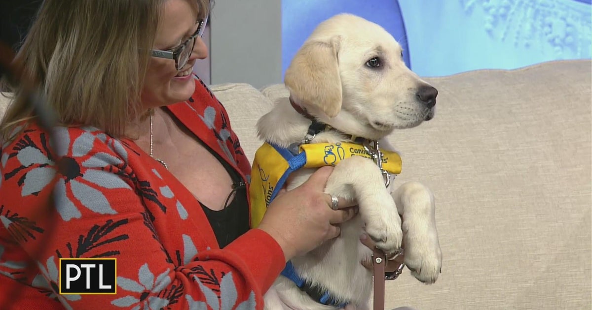 PTL Pupdate: The playful stage - CBS Pittsburgh