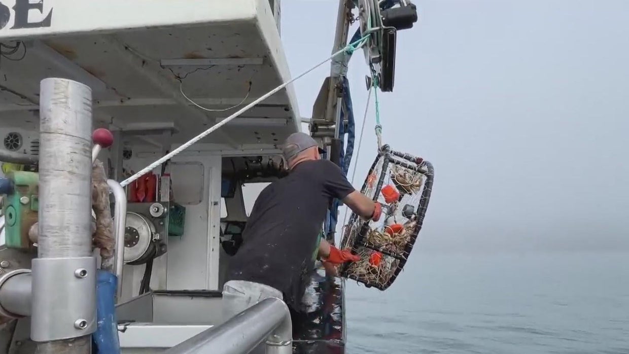 'Pop-up' crab pots to allow fishermen to extend Dungeness season while ...