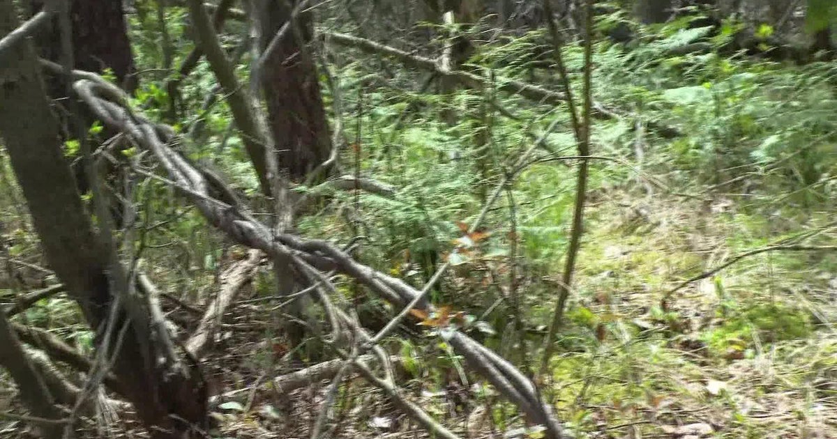 Teen uses slingshot to fight off sister's abductor - CBS Philadelphia