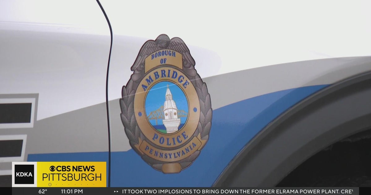 Ambridge police facing backlash for shooting, killing lost dog in ...