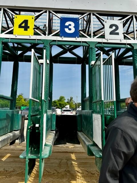 Where's Marty? Off to the races at Pimlico Race Track ahead of ...