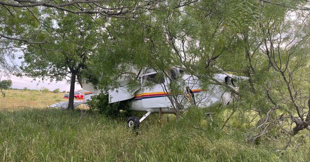 No injuries reported after small plane makes emergency landing in ...