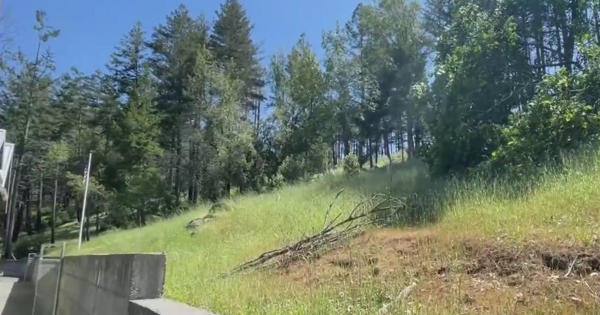 Record-setting winter increased fuel for fire season, demanding more ...