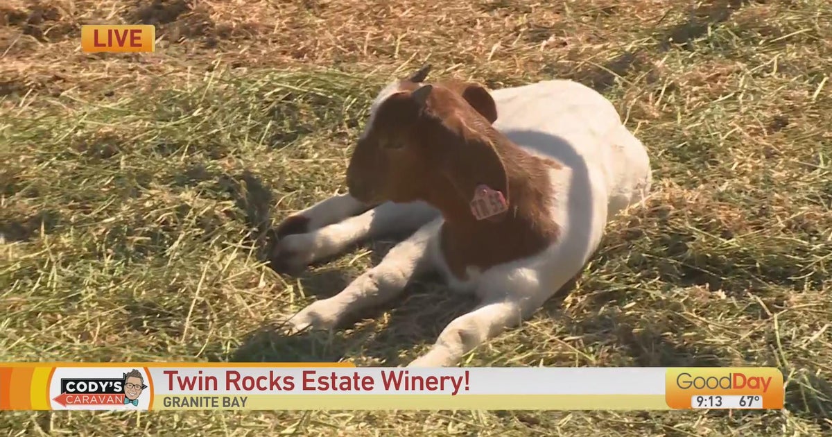 Cody's Caravan: Twin Rocks Winery - Good Day Sacramento