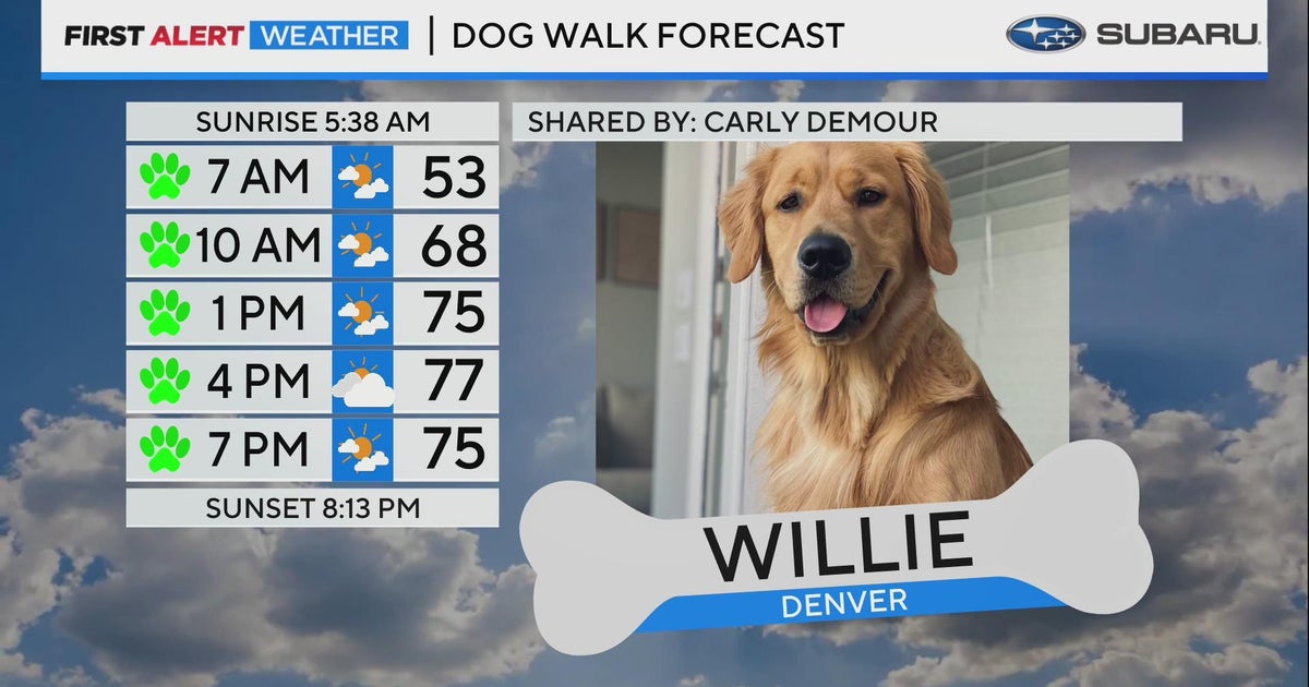 Willie joins Dog Walk Forecast - CBS Colorado