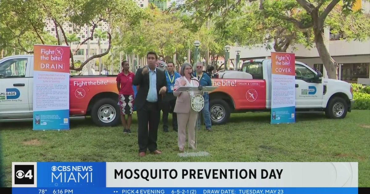 Today is Mosquito Prevention Day - CBS Miami