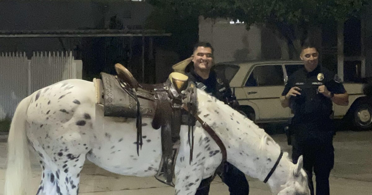 Burbank police officer tracks down runaway horse, ride it back to owner ...