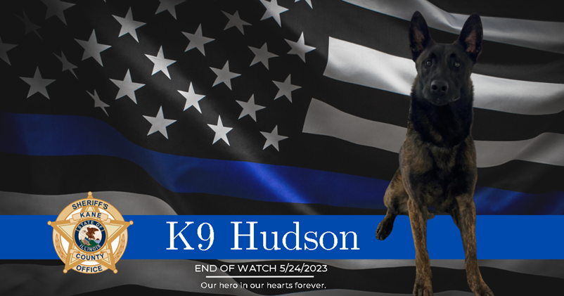 Hundreds mourn Kane County K9 Hudson who was killed in action - CBS Chicago